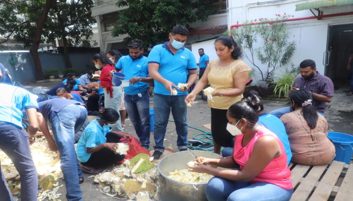 Development Lotteries Board